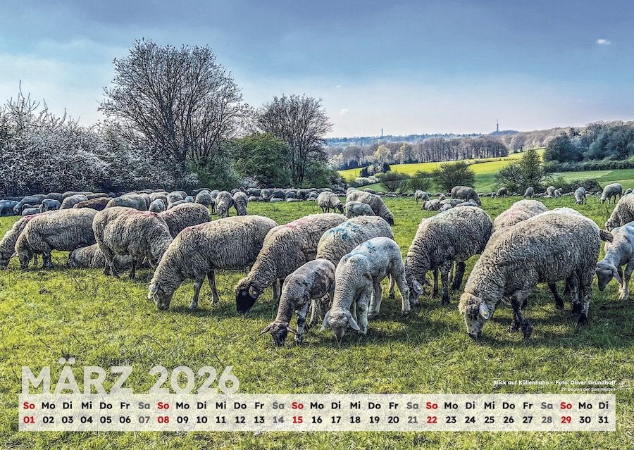 » CW-Kalender 2026: Die Blätter fallen – 13 neue Blätter sind da ...